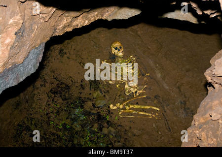 Skeleton, Gough's Cave, Cheddar Caves, Somerset, England, United ...