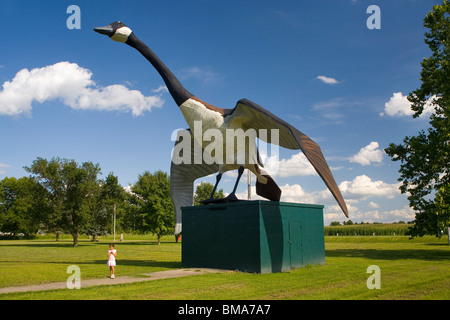 Maxie-world's largest goose, Sumner, Missouri Stock Photo - Alamy