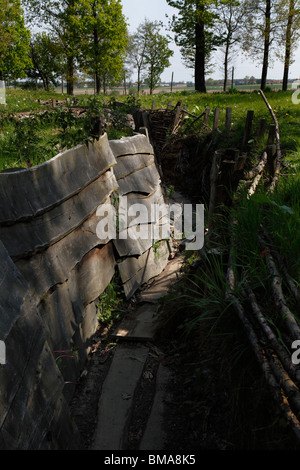 Bayernwald Trenches world war one flanders Belgium Stock Photo - Alamy