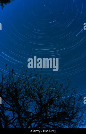 Star trails around Polaris or Northern Star Stock Photo - Alamy