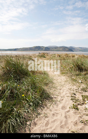 green grass and sandy path Stock Photo - Alamy