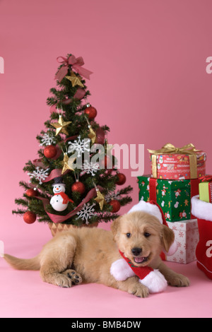A vertical shot of cute Christmas tree decorations next to small ...