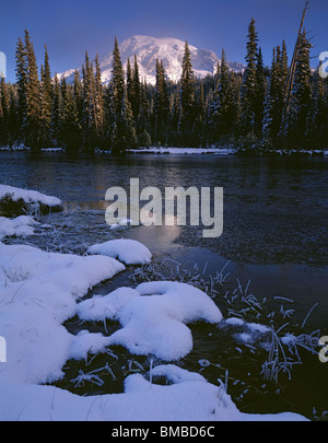 Snowy forest, Mt. Rainier National Park, Washington, USA Stock Photo ...