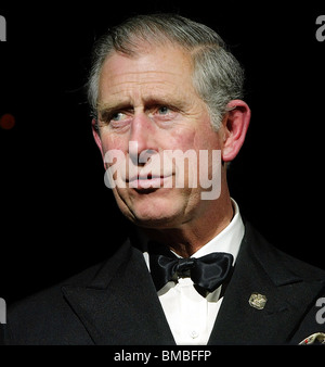 Britain's Prince Charles, the Prince of Wales making a speech at a ...
