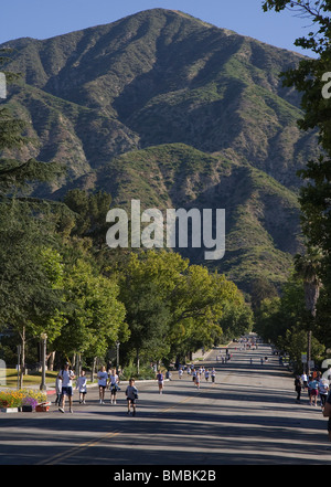 Runners Heading for Finish Line Mt Wilson Trail Race Stock Photo - Alamy