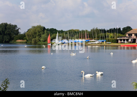 view across the lake at Priory Country Park, Bedford, with swans and ...