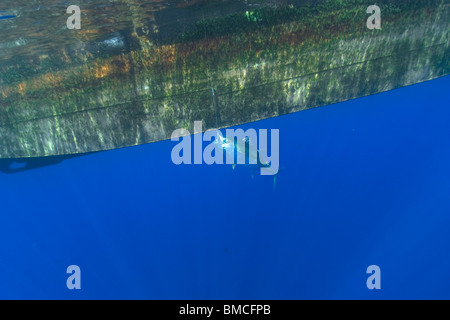 Offshore commercial longline tuna fishing, Brazil, Atlantic Ocean Stock ...