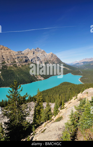 Peyto Lake with clear blue skies, Icefields Parkway, Banff National ...