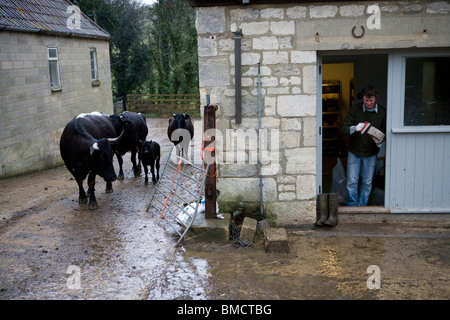 Farmer Jonathan Crump making traditional Single and Double Gloucester ...