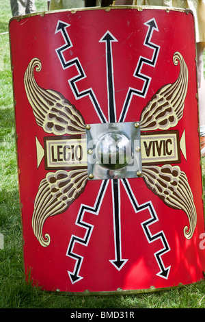 Legio Vivic Shield VI Victrix Legion. Shield, curve-sided scutum of the ...