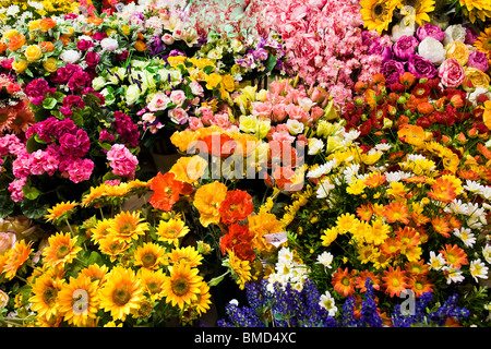 Italy, Liguria, Ventimiglia, Market Flowers Stock Photo - Alamy
