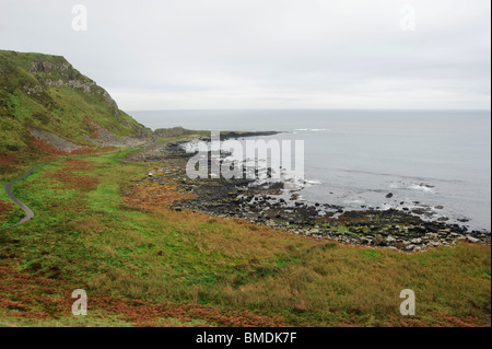 The Amphitheatre. The Giant's Causeway. World Heritage Site. Causeway ...