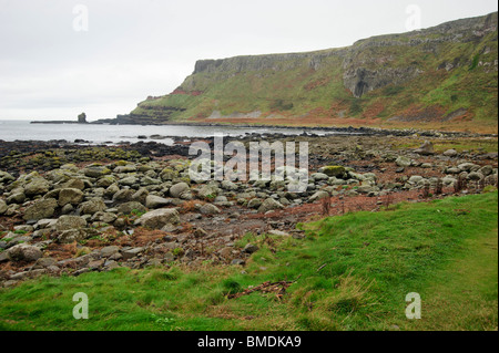 The Amphitheatre. The Giant's Causeway. World Heritage Site. Causeway ...