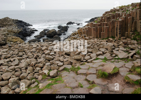 The Amphitheatre. The Giant's Causeway. World Heritage Site. Causeway ...