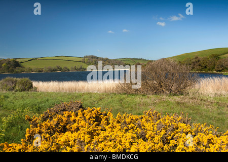 UK, England, Devon, Slapton Lay Nature Reserve Stock Photo - Alamy