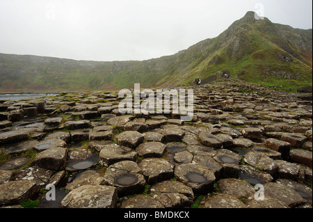 The Amphitheatre. The Giant's Causeway. World Heritage Site. Causeway ...
