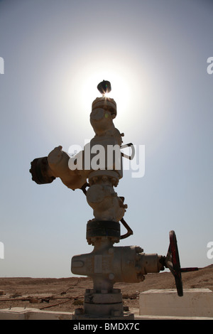 Oil Well Number 1, Bahrain Stock Photo - Alamy