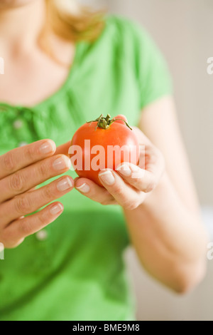 A hand holds tomato Solanum lycopersicum seedlings. the green stems ...