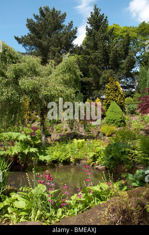 Fletcher Moss park and Botanical Garden, Manchester, UK. 13/06/20 Stock ...