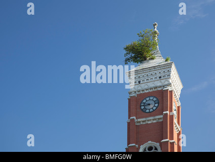 Greensburg, Indiana - A Mulberry tree grows from the roof of a clock ...