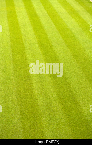 Stripy Lawn With Striped Grass Stock Photo - Alamy