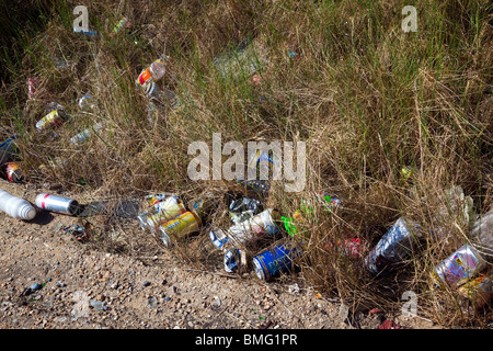 litter that has been dropped by the side of the road in Johannesburg ...