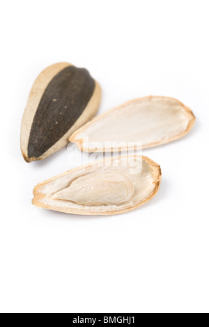 Sunflower Seed close up shot Stock Photo - Alamy