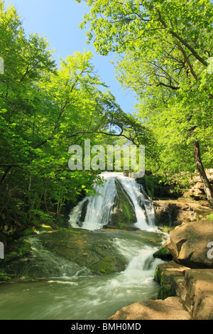 Roaring Run Falls, Roaring Run Recreational Area, Eagle Rock, Virginia ...