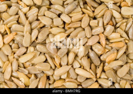 Shellless Sunflower Seed close up shot Stock Photo - Alamy
