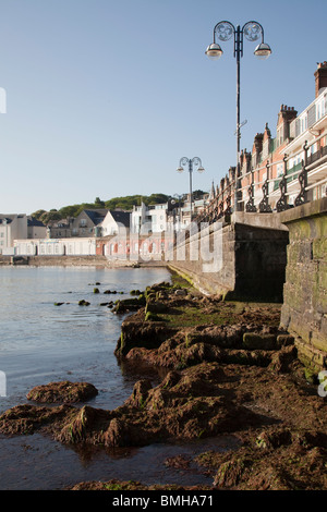stone groynes and sea wall at Swanage bay Stock Photo - Alamy