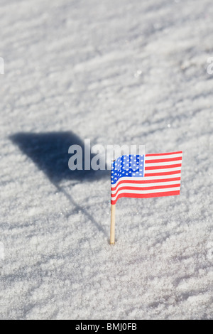 USA flag in a snow covered forest, horizontal Stock Photo - Alamy