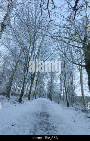 Suffolk winter snow scene Stock Photo - Alamy