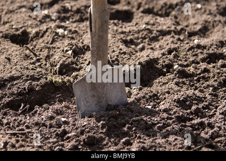 digging hole with spade in field Stock Photo - Alamy