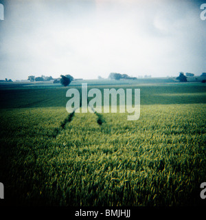 Wide view of lush green fields and a distant village beneath a cloudy ...