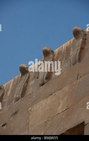 Egypt, Saqqara. Facade of the Cobra Palace with Zoser pyramid in the ...