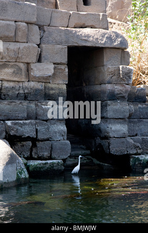 Nilometer on Elephantine Island, Egypt. Two graduated measuring markers ...