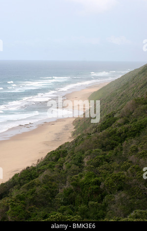 Cape Vidal reserve, St Lucia, KwaZulu-Natal, South Africa, close-up ...