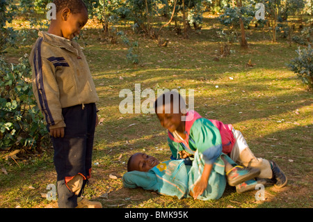 Poor housing Addis Ababa Ethiopia Africa Stock Photo - Alamy