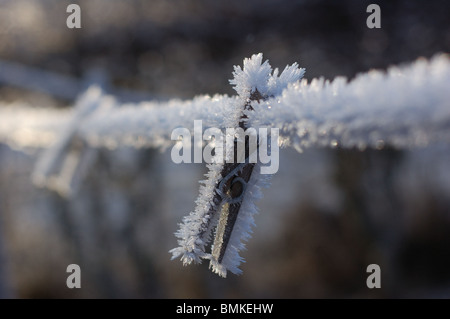 frozen washing line Stock Photo - Alamy