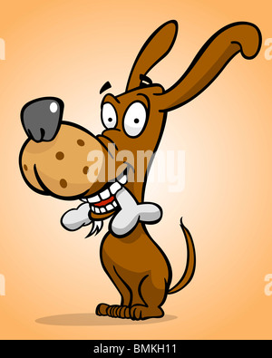 The tail bone Stock Photo - Alamy