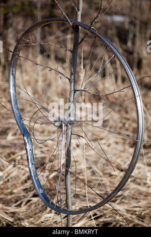 Buckled wheel on a bicycle Stock Photo - Alamy