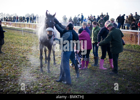 Point-to-Point horse racing at Cottenham,Cambridgeshire Stock Photo - Alamy