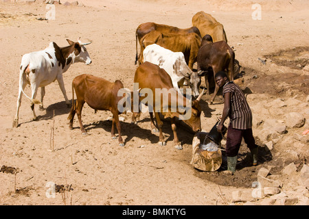 Mali, Baniani. People at a well Stock Photo - Alamy