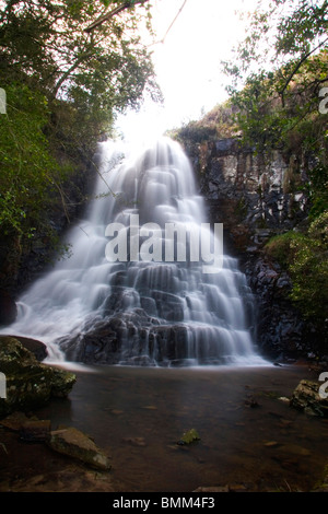 Hogsback, Eastern Cape, Amatole Mountains, South Africa. Hiking to the ...