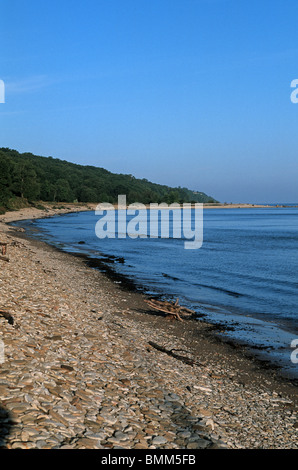 Estonia,Toila,beach,Gulf of Finland,Baltic cost Stock Photo - Alamy