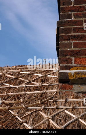 Close-up of Norfolk reed thatch on a cottage roof Stock Photo - Alamy