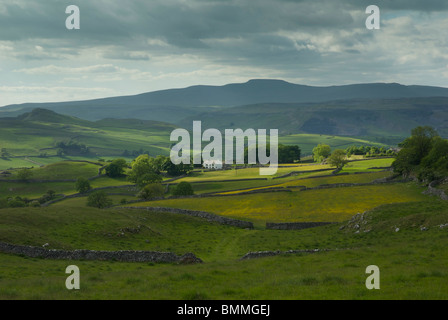 Lower Winskill Farm, near Settle, Yorkshire Dales National Park, North ...