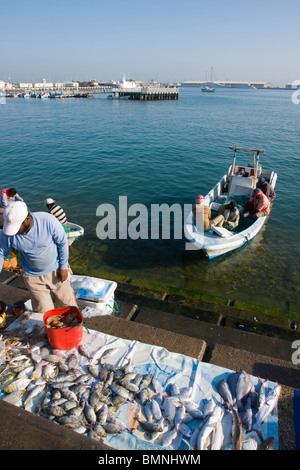 Qatar, Doha Harbour Fish Market Stock Photo - Alamy
