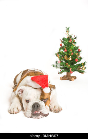 Gloomy Santa Claus portrait against blue background with copy space ...