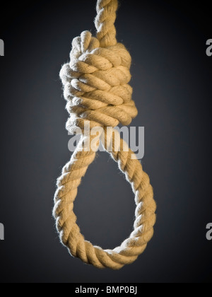 Hangman's knot, noose slipknot Stock Photo: 93091572 - Alamy
